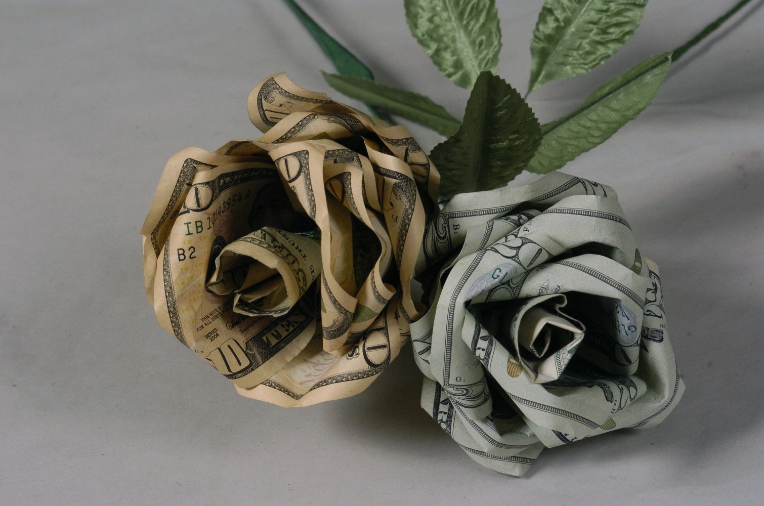 Money Roses Adventures With The Sage
