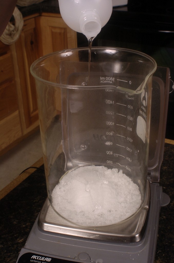 Tummy & Toe Jam — Adventures With The Sage