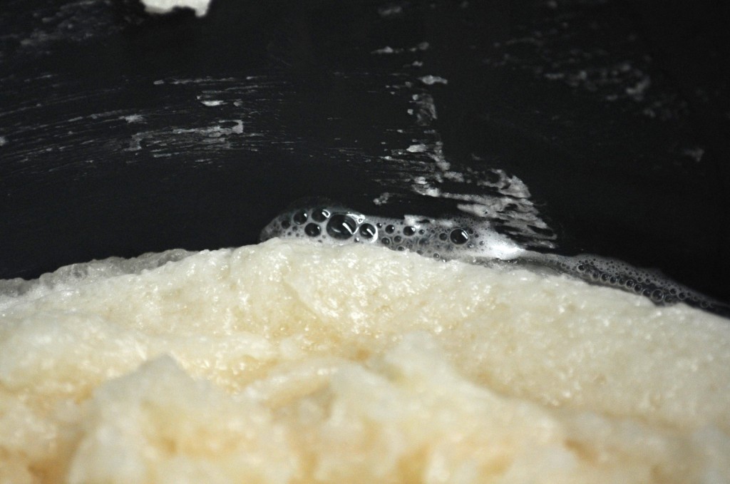 Introduction to Liquid Soap Week, Day One — Adventures With The Sage