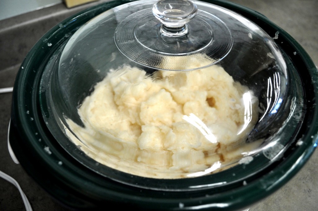 Introduction to Liquid Soap Week, Day One — Adventures With The Sage