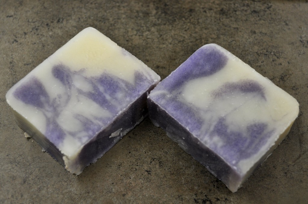 Dreaming in Purple Soap — Adventures With The Sage