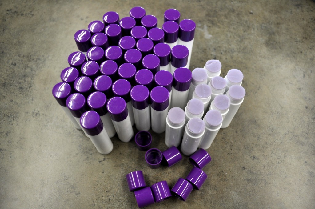 Lip Solutions: Using the Plate Test — Adventures With The Sage