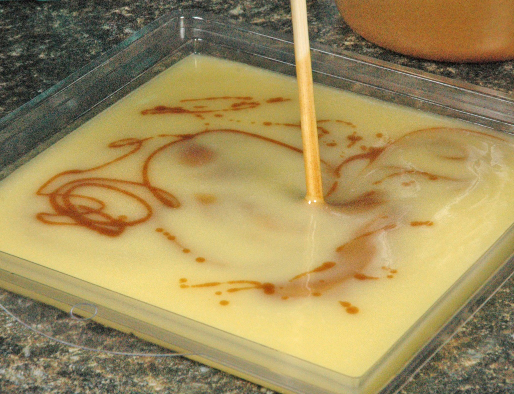 Cold Process Soap with Rose Hip Powder — Adventures With The Sage