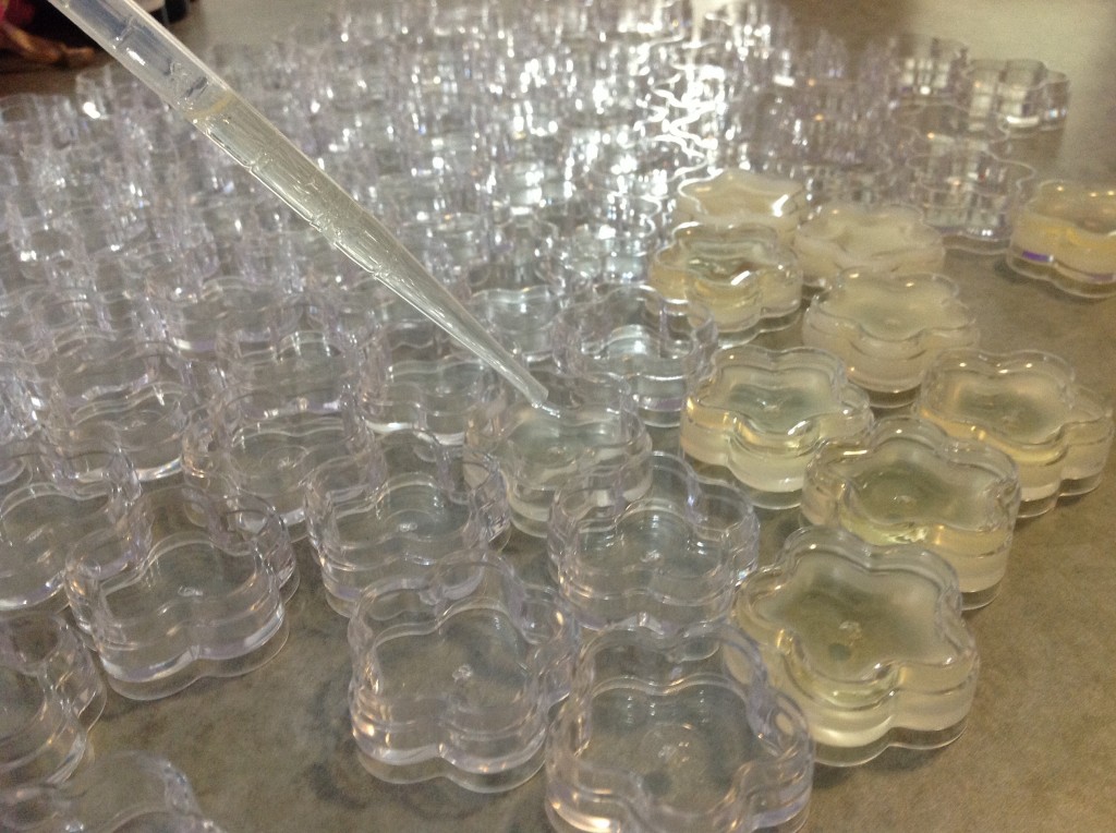 Simple Solid Perfume - Making Fragrance Alluring and Transportable ...