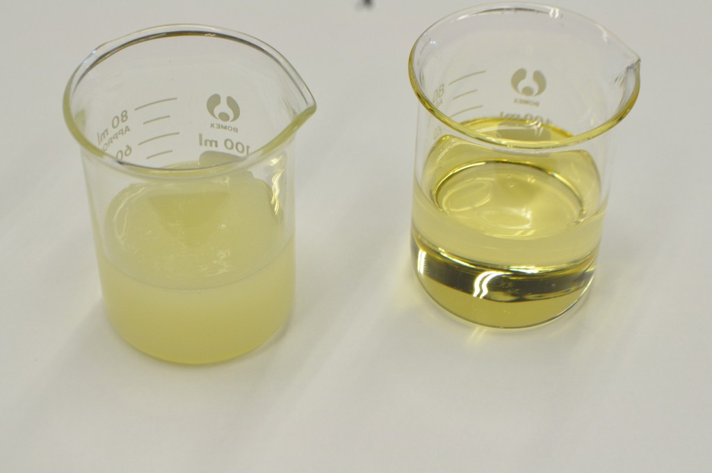 Liquid Shea Oil VS Semi-Solid Shea — Adventures With The Sage