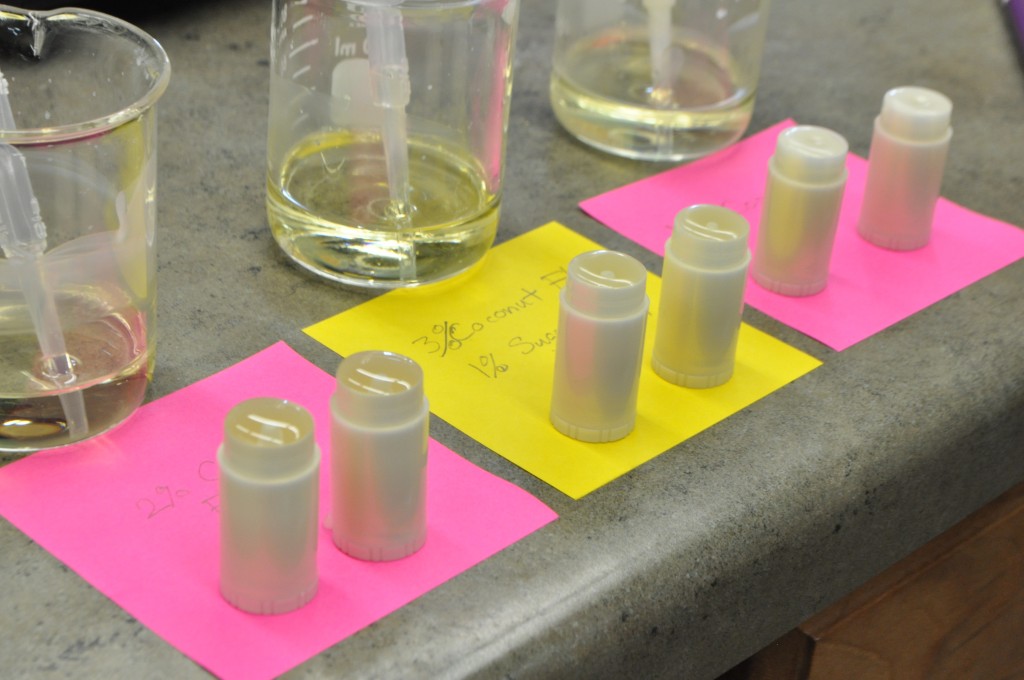 Flavor Testing — Adventures With The Sage