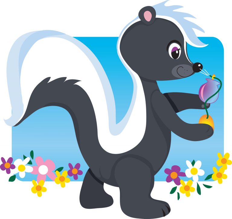 Skunked - Share your Solutions! — Adventures With The Sage