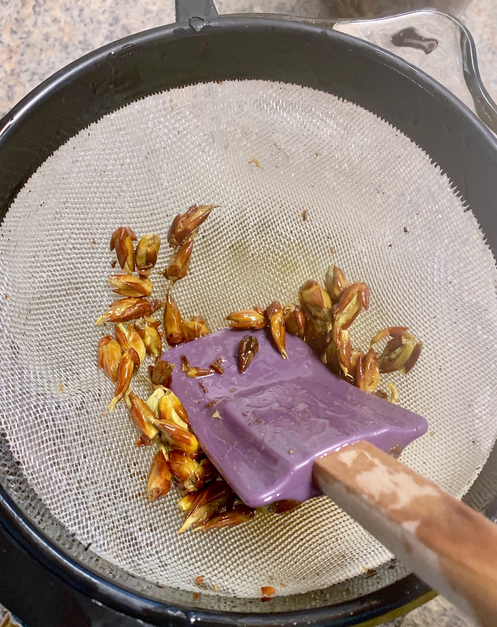 Salve made with Balsam Poplar-infused Olive Oil — Adventures With The Sage