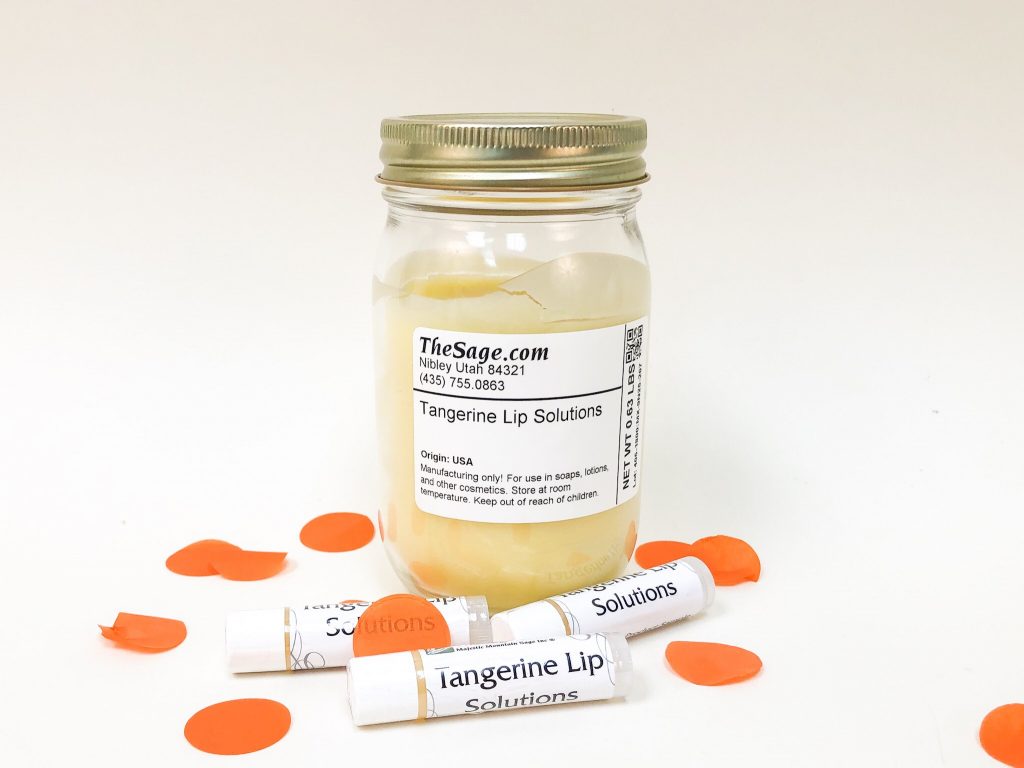 5 Reasons Why I Love Tangerine Lip Solutions! — Adventures With The Sage