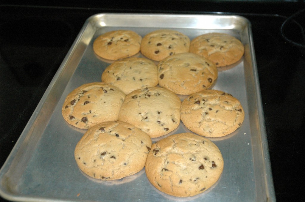 Cookie Friday — Adventures With The Sage