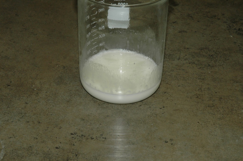 The Importance of a Preservative Part 2 — Adventures With The Sage