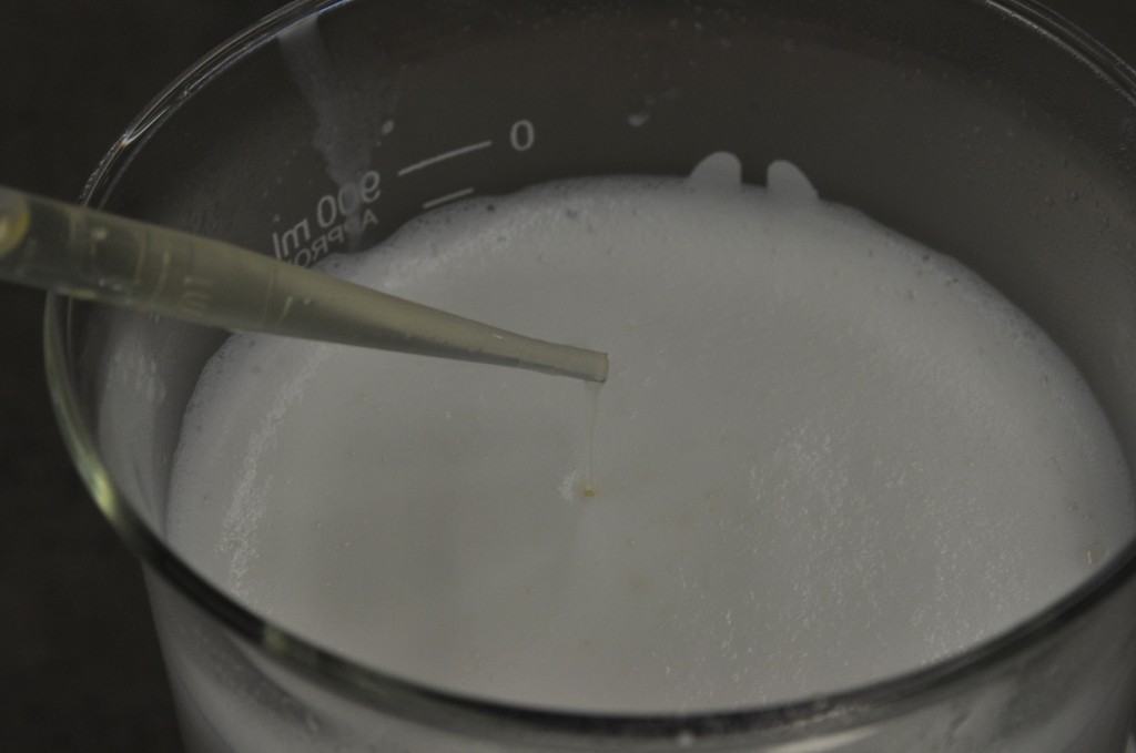 Jubilant Summer Island Lotion — Adventures With The Sage