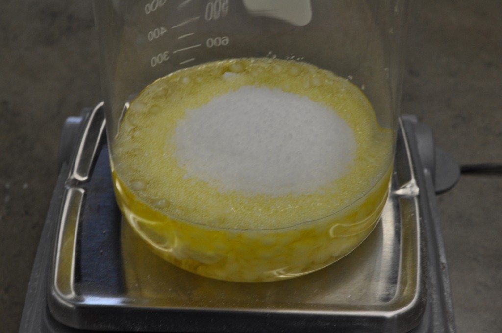 Jubilant Summer Island Lotion — Adventures With The Sage