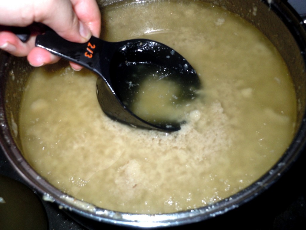 Rendering Lard — Adventures With The Sage