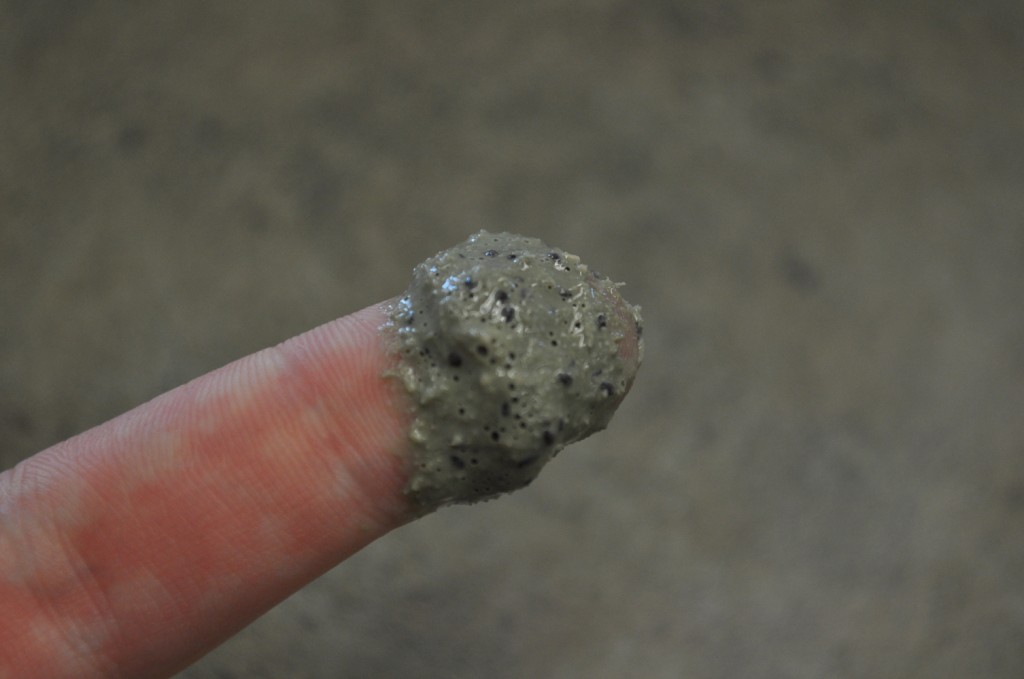 Tea Tree Scrub — Adventures With The Sage