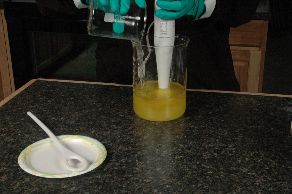 Cold Process Soap, Day One — Adventures With The Sage